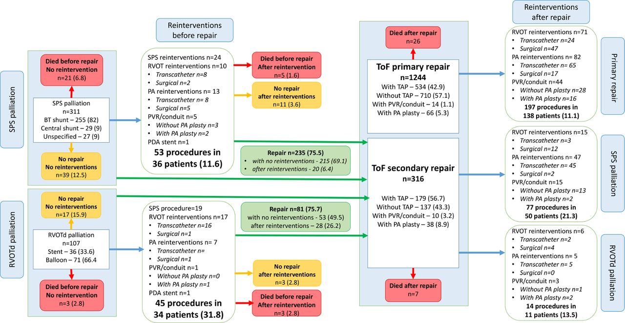 Primary repair versus surgical and transcatheter palliation in infants ...