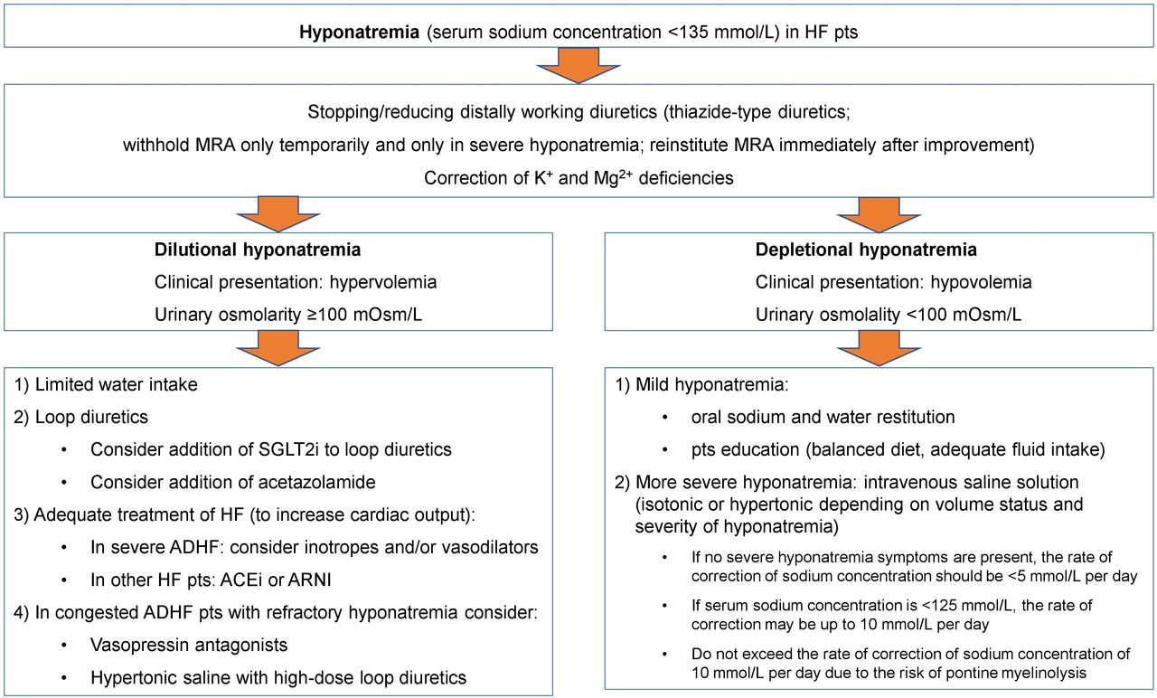Hyponatraemia in heart failure: time for new solutions? | Heart