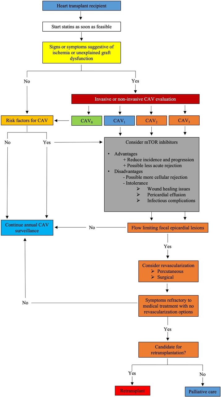 Diagnosis and management of cardiac allograft vasculopathy | Heart