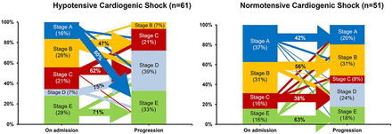 133 Important lessons from cardiogenic shock deaths with insight into ...